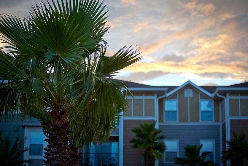 Knights Circle Apartments UCF Orlando - 407apartments.com